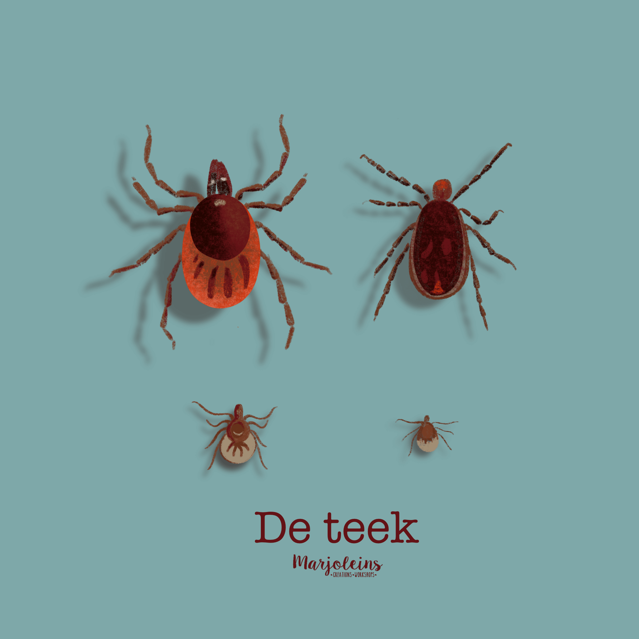 Een teek op een plek waar ik raar van opkeek - RaGaSto